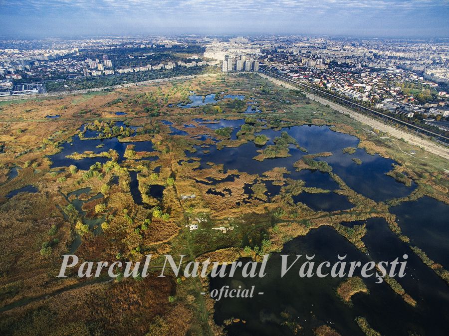 Parcul Natural Vacaresti, triumful interesului public - Trends HRB