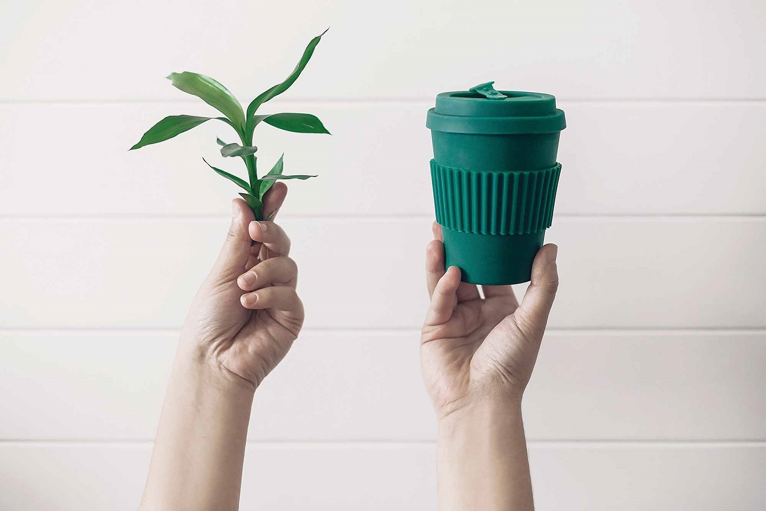 Horeca se pregătește de trecerea la ambalajele biodegradabile